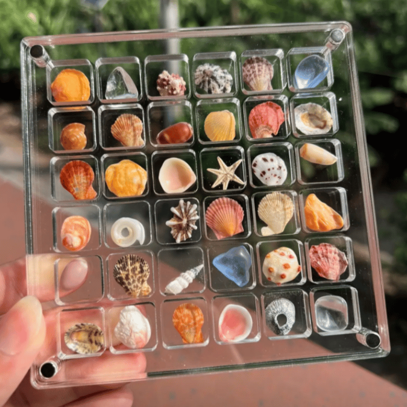 Acrylic Magnetic Seashell Storage Box – uber7