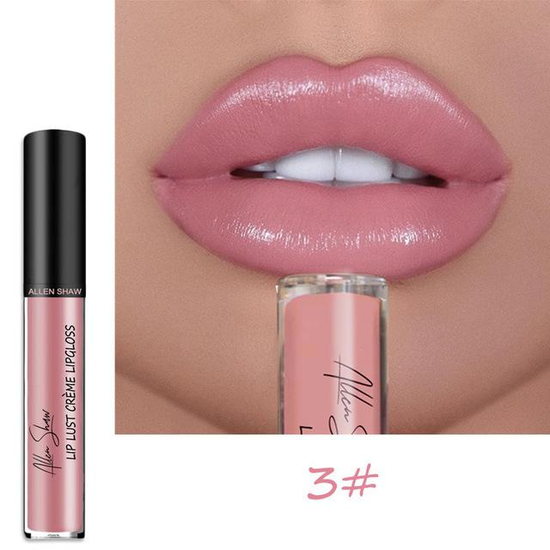 12 COLOR WATERPROOF LONG LASTING MOIST LIP GLOSS PLUMPER LIQUID LIPSTI ...