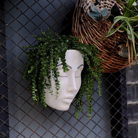🔥Fill your garden with art🎁Plant Faces – uber7