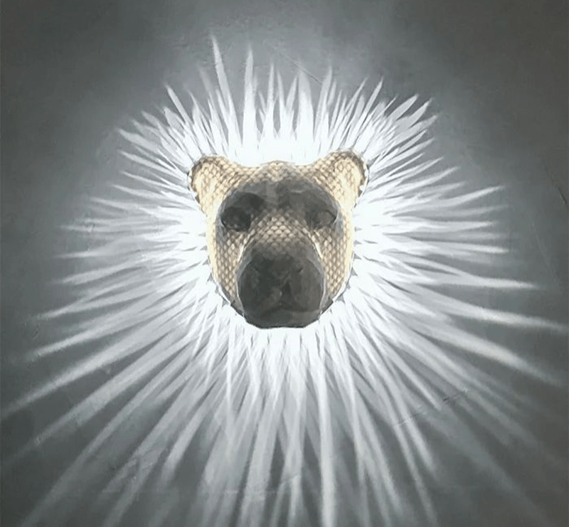 🔥 3D Animals LED Wall Light 🔥 Bald Eagle & Night Owl & Lion Head – uber7