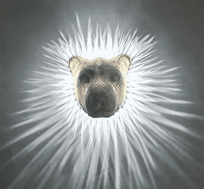 🔥 3D Animals LED Wall Light 🔥 Bald Eagle & Night Owl & Lion Head – uber7