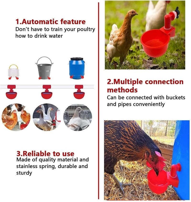Automatic Chicken Water Cup Bird Coop – uber7